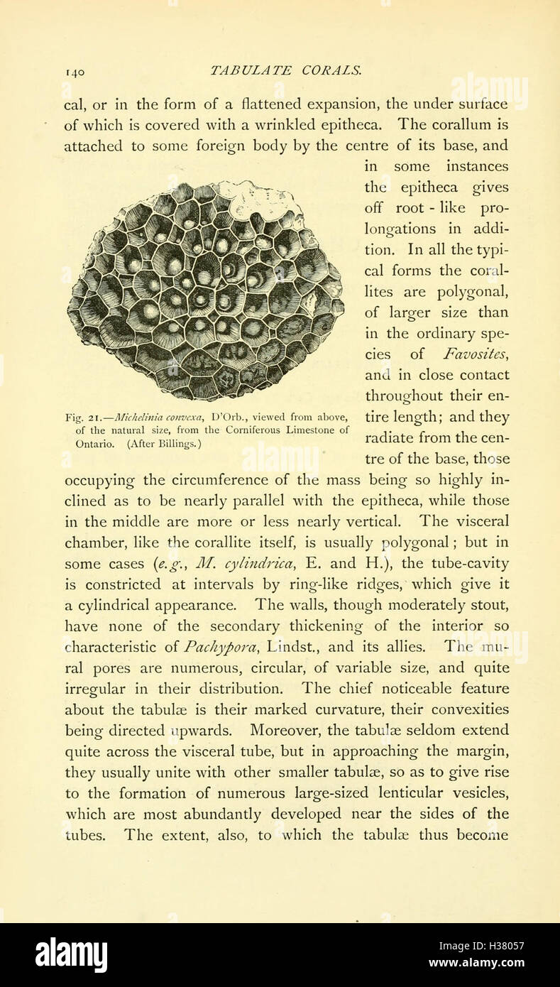 This study investigates the structure and evolutionary relationships of ...