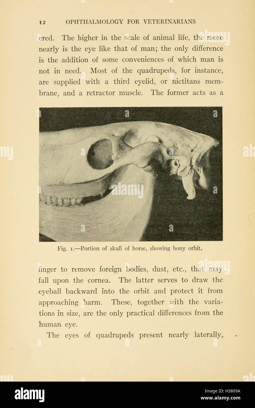 This text provides an overview of ophthalmic care in animals, focusing ...
