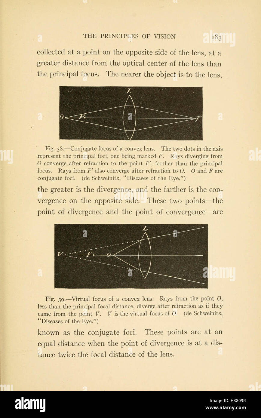 A veterinary guide to ophthalmic conditions in animals, with a focus on ...