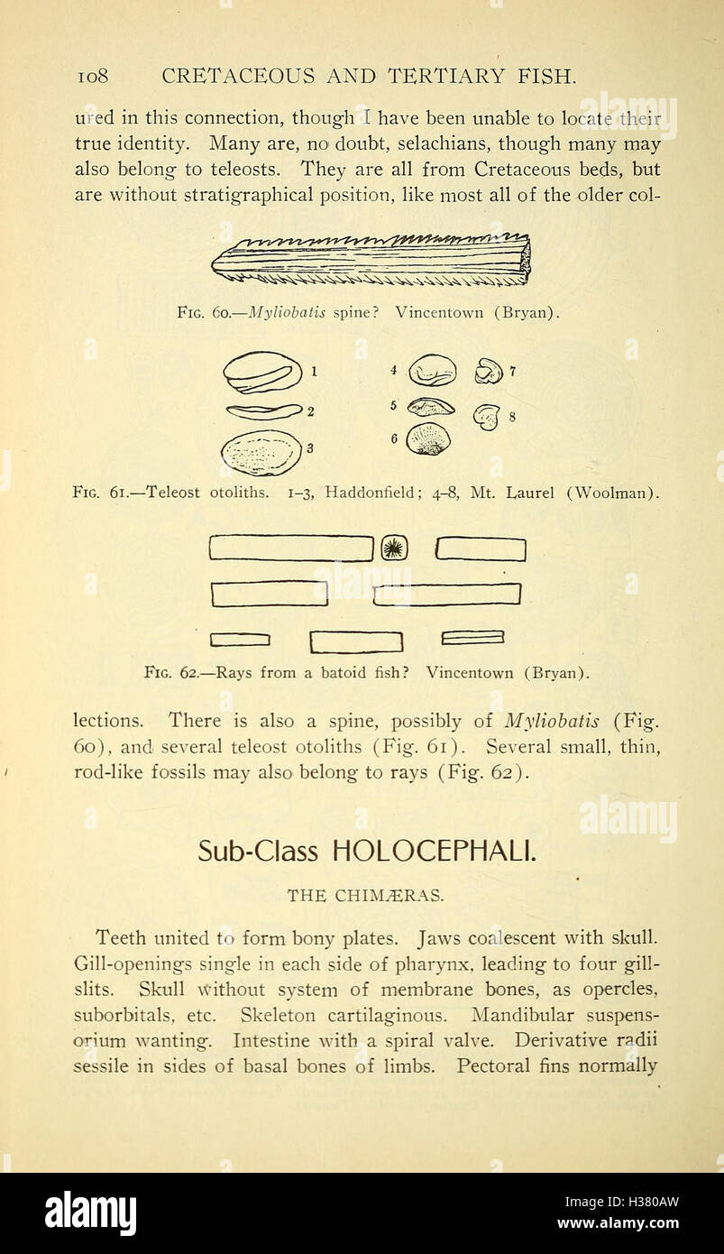 A description of the fossil fish remains of the Cretaceous, Eocene and ...