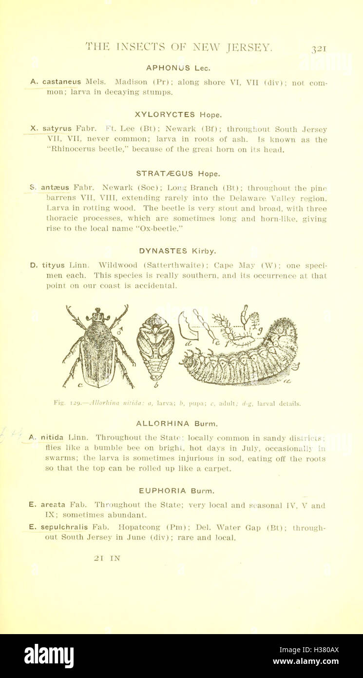 This work covers the classification, identification, and ...