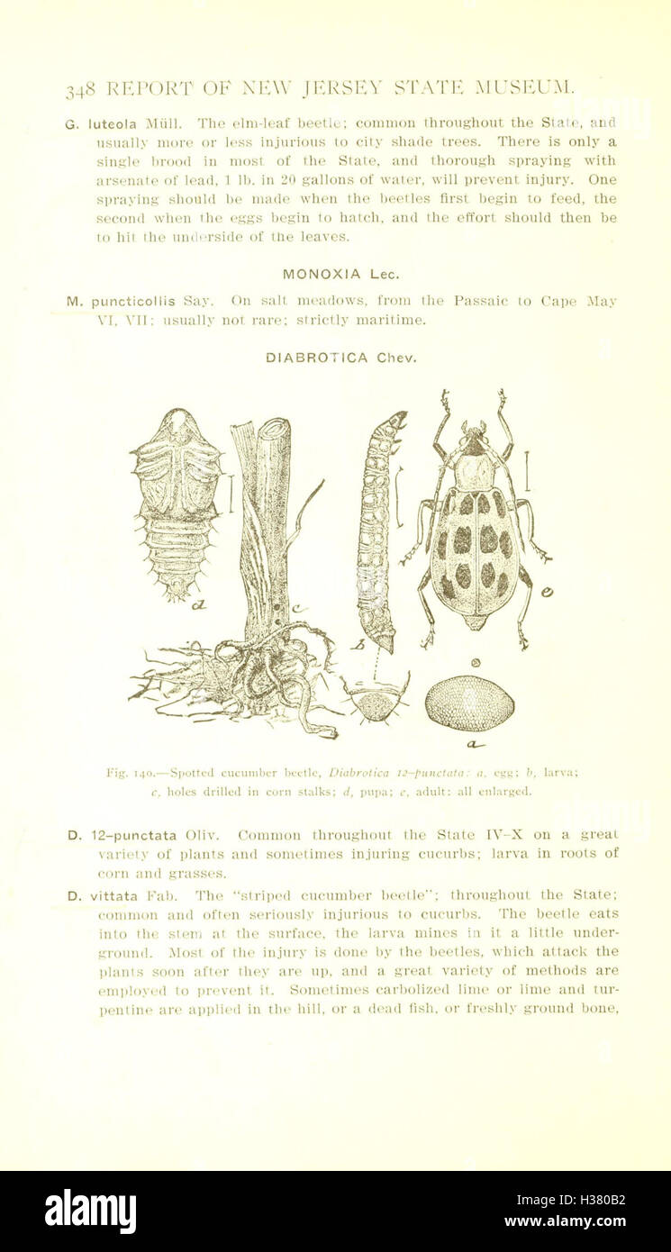 This work provides a detailed overview of the Coleoptera, the largest ...