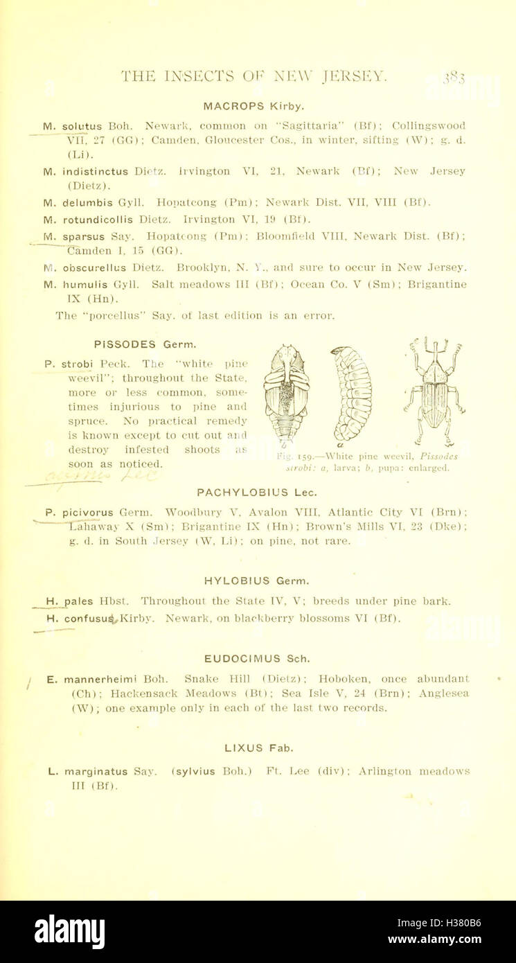 This section covers the diverse order Coleoptera, detailing its species ...