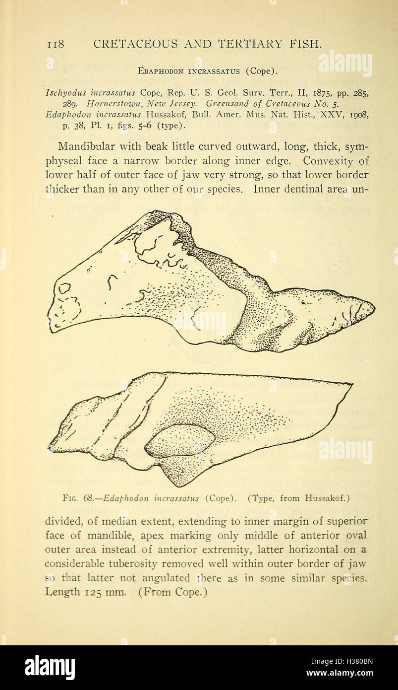 This page details the fossil fish remains from the Cretaceous, Eocene ...