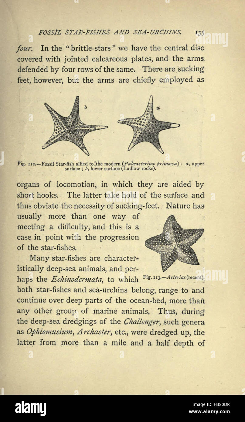 This book provides an accessible guide to common British fossils, with ...