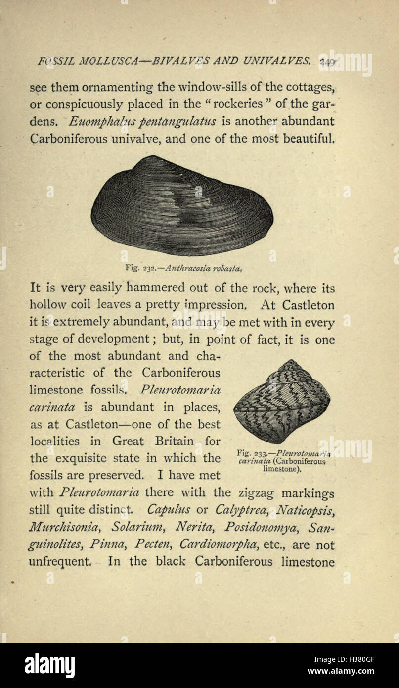 This work provides a guide to common British fossils, including where ...