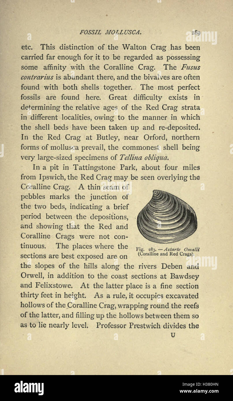 This guide provides information on common British fossils and their ...