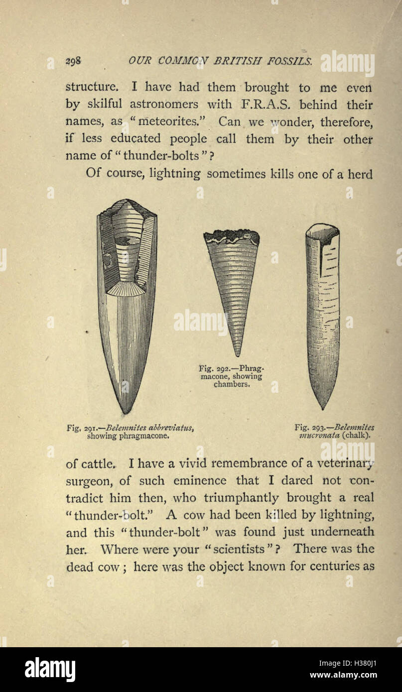 This guide offers practical advice on identifying and locating common ...