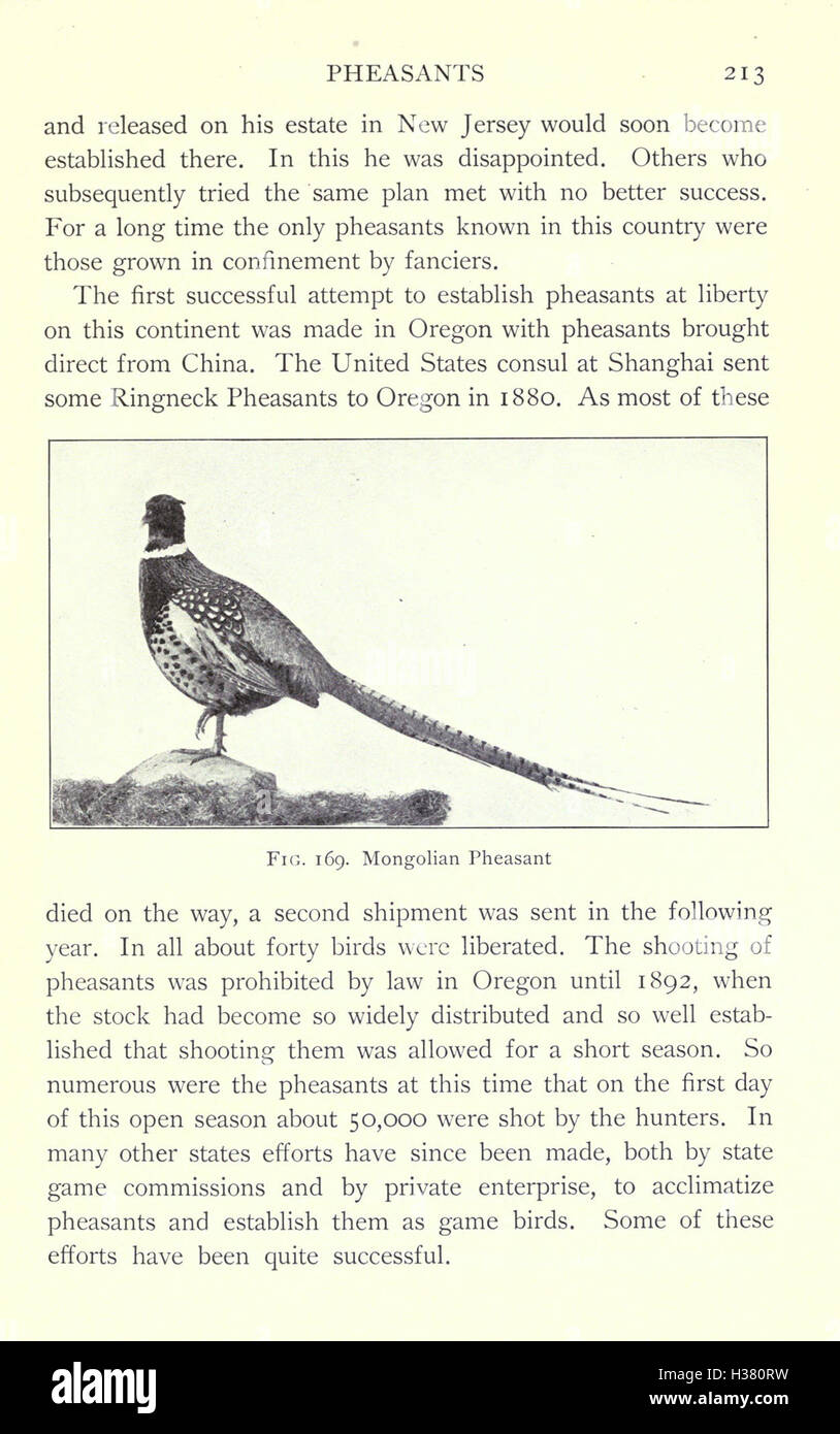 A comprehensive guide on domestic bird species, their care, breeding ...