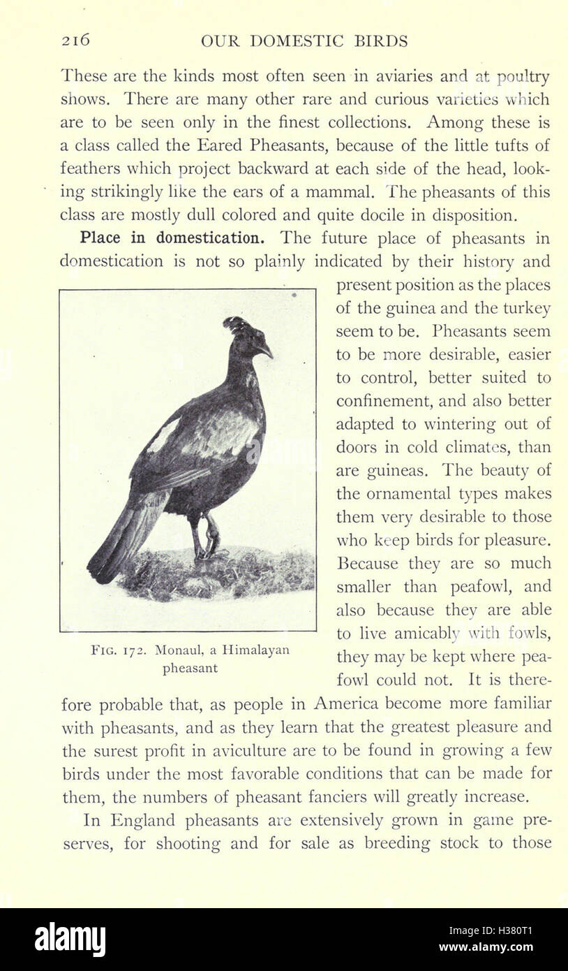 This work provides an overview of common domestic bird species, their ...