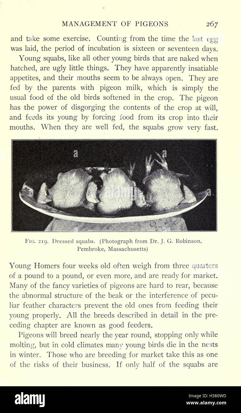 The work describes various species of domestic birds, detailing their ...