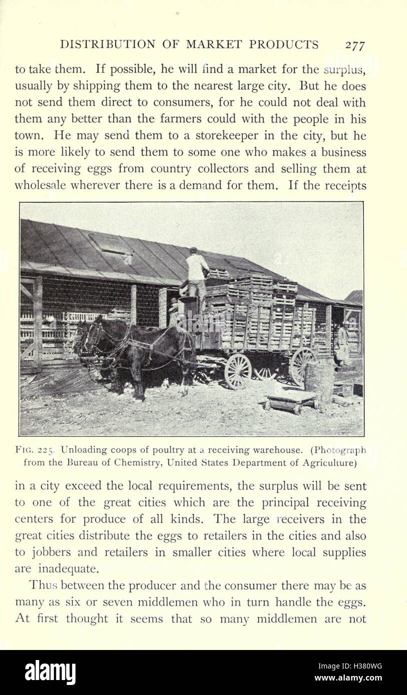 This text focuses on various species of domestic birds, detailing their ...