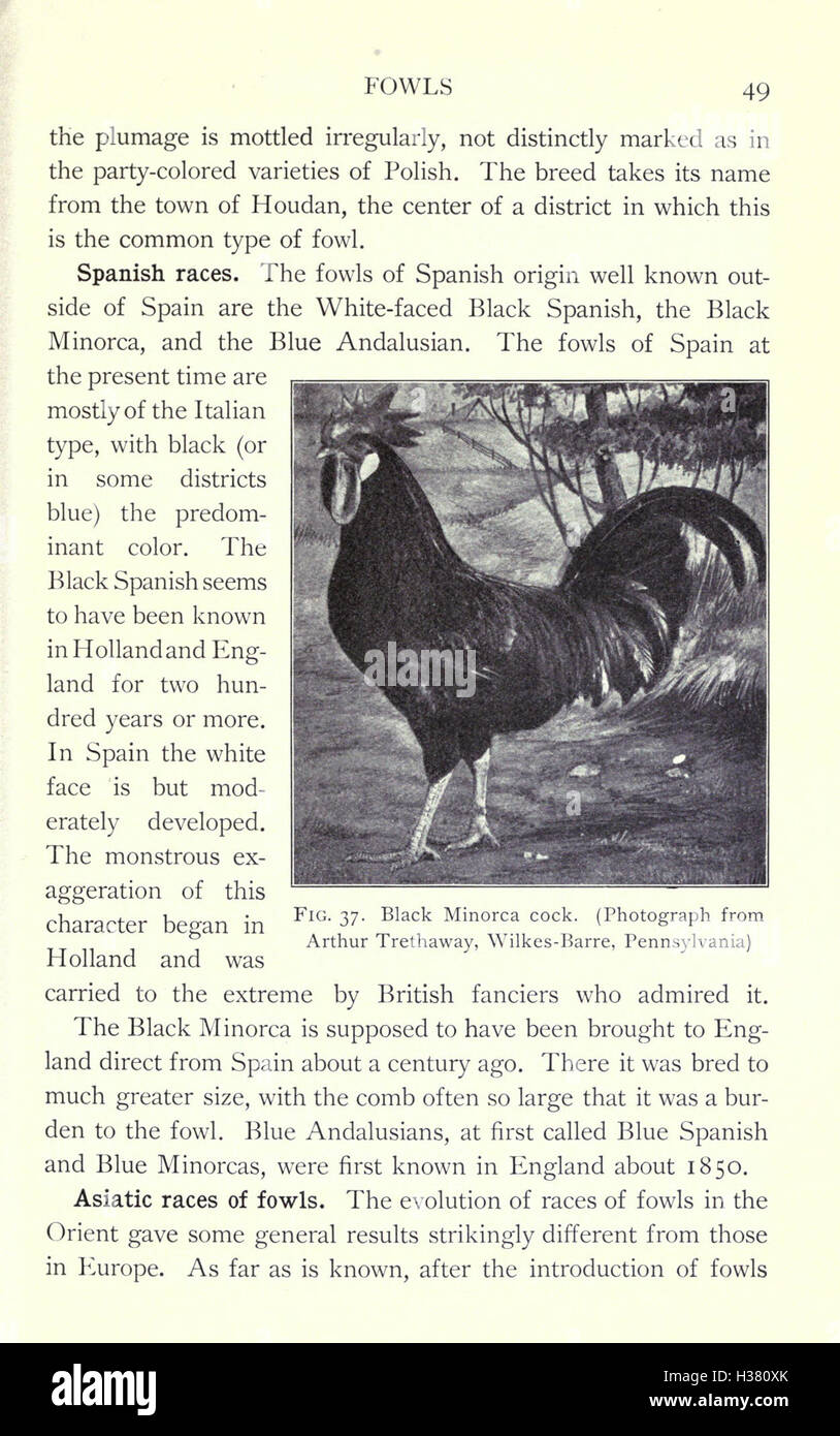 This book provides information on domestic bird species commonly kept ...