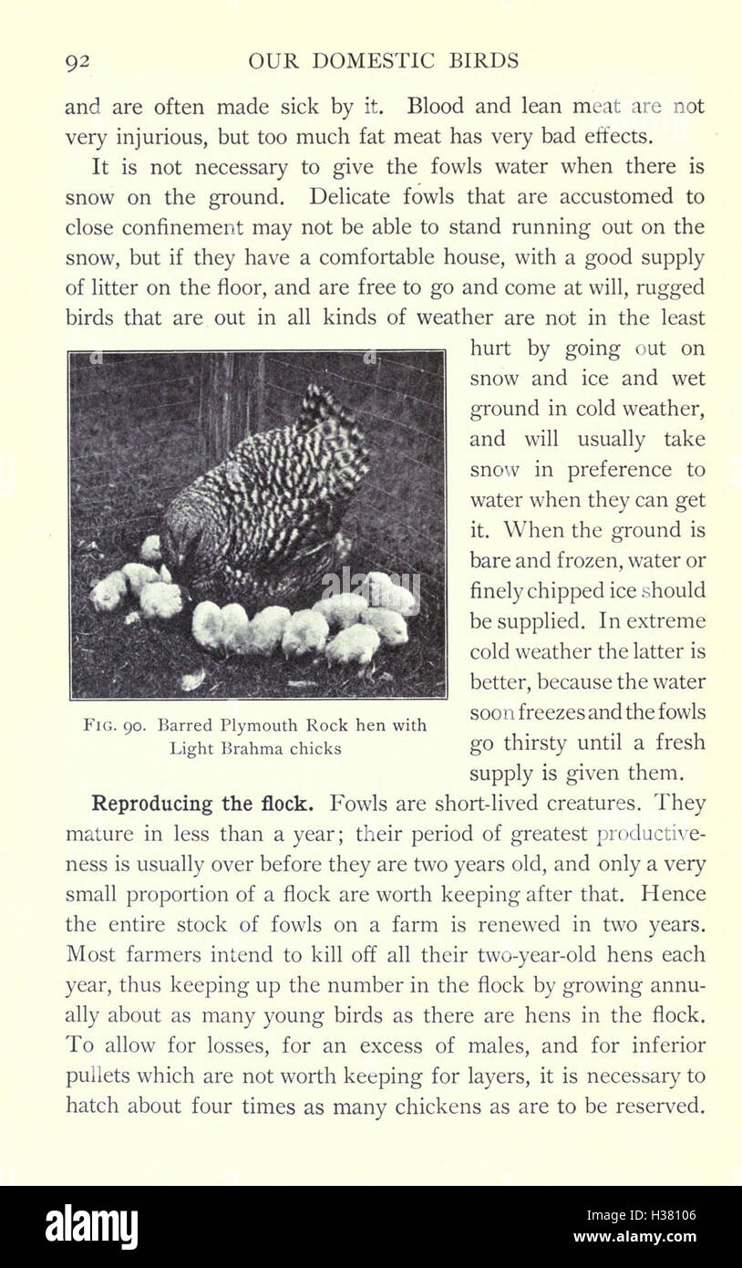 This book covers the various species of domestic birds, detailing their ...