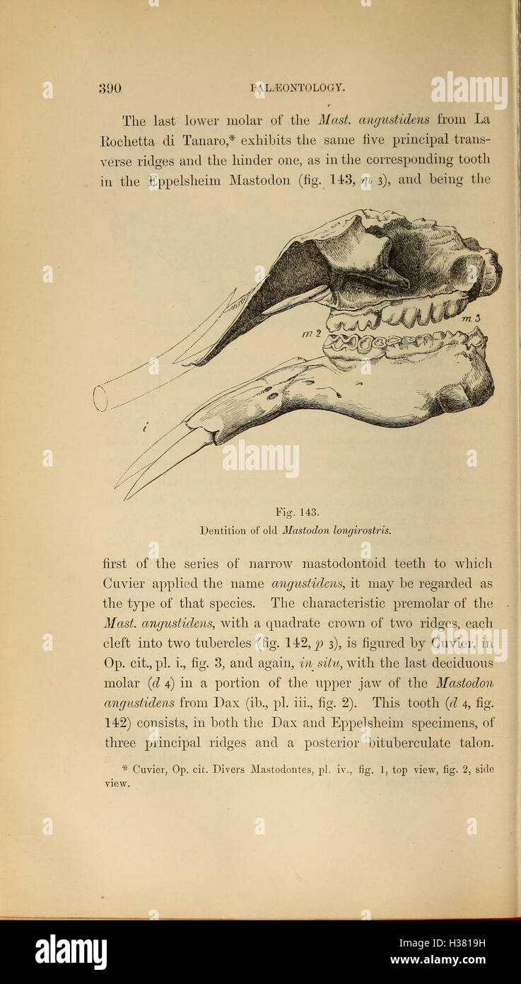 This comprehensive work summarizes the extinct animals of different ...