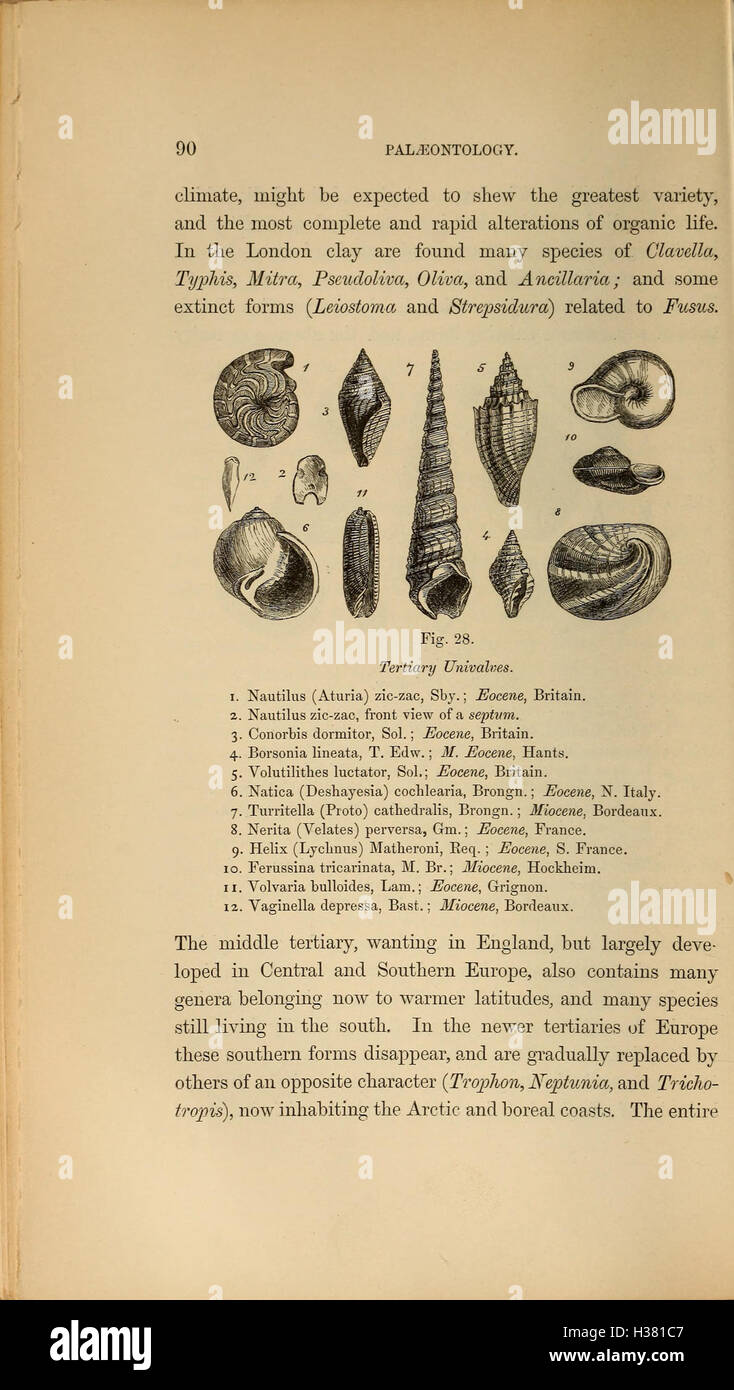 This work provides a systematic summary of extinct animals, focusing on ...