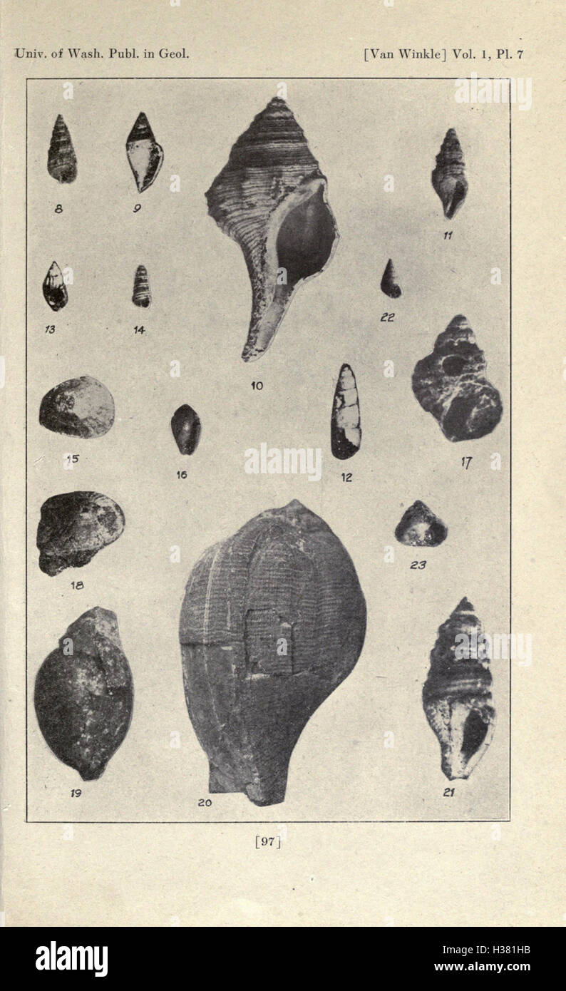 Oligocene epoch hi-res stock photography and images - Alamy