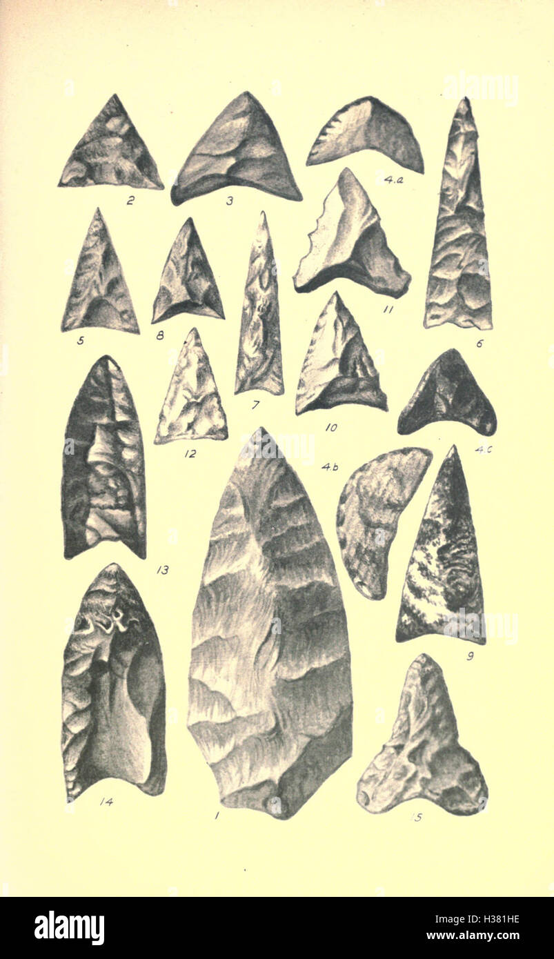 This work examines the stone tools used by indigenous peoples of New ...
