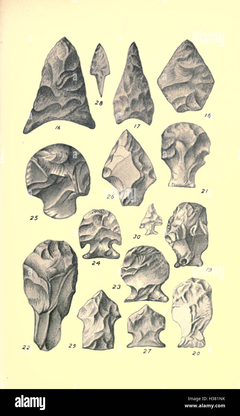 This work details the various chipped stone tools used by indigenous ...