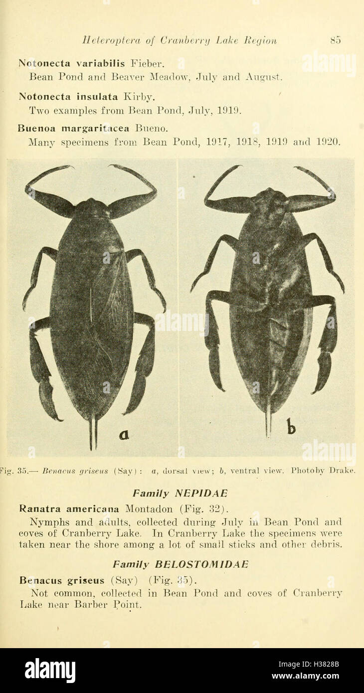 This collection of papers presents research from the Department of ...