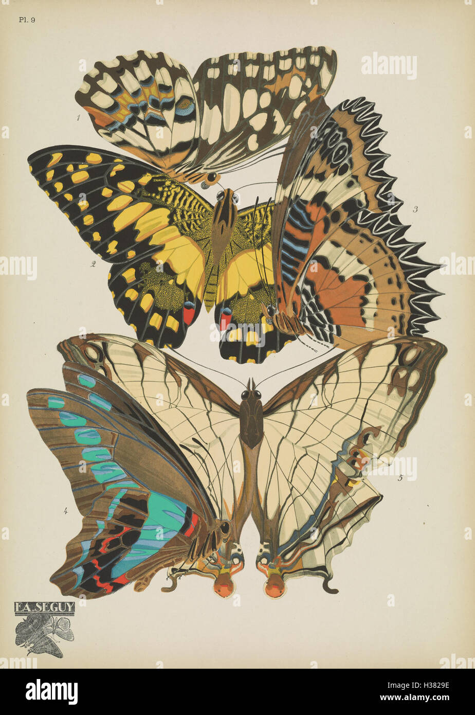 This illustration focuses on butterflies (*Papillons*), depicting ...