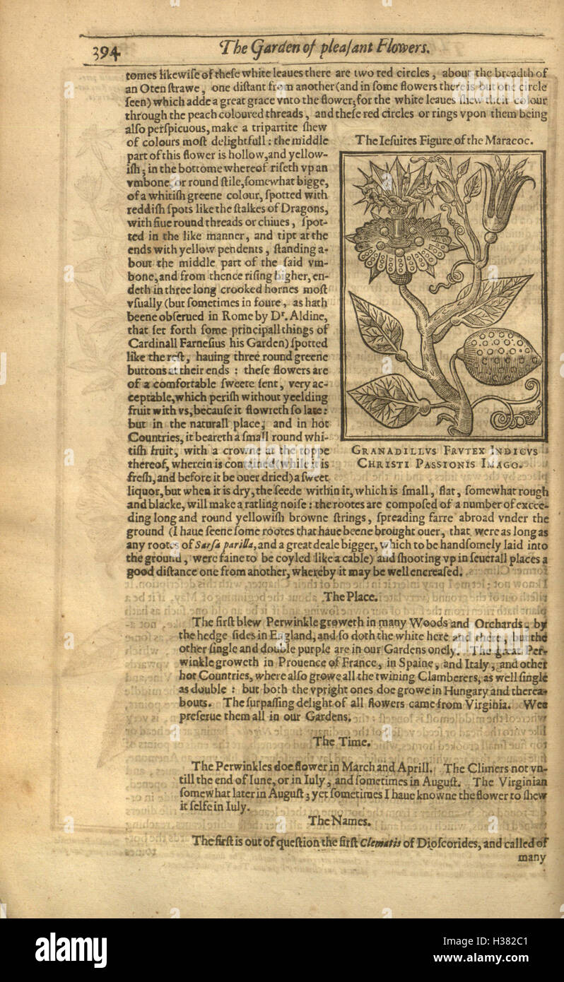 This 17th-century text presents a detailed guide to growing a wide ...