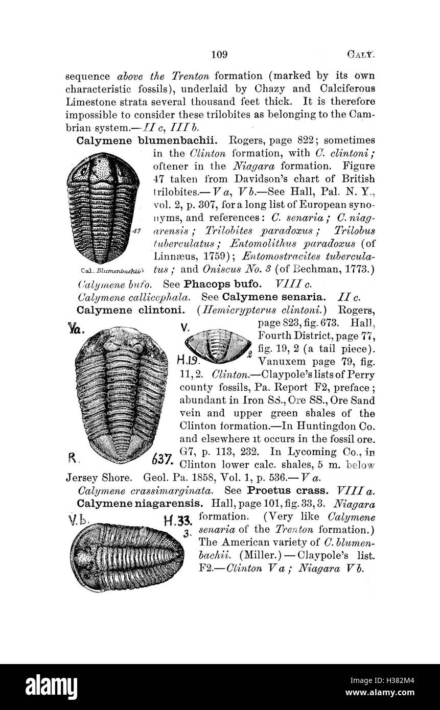 This dictionary provides a comprehensive list of fossils from ...