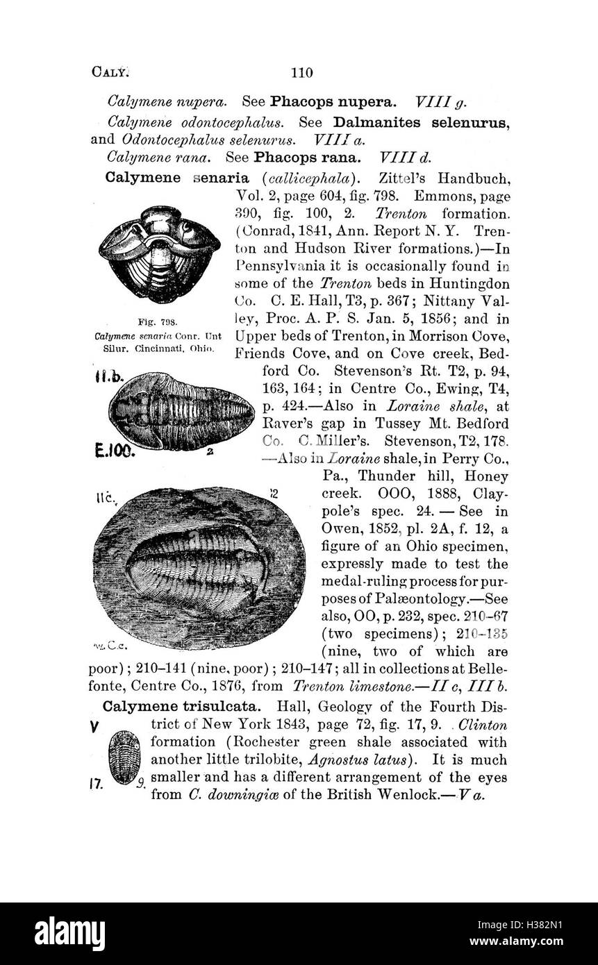 This page from a dictionary of fossils catalogues fossil discoveries in ...