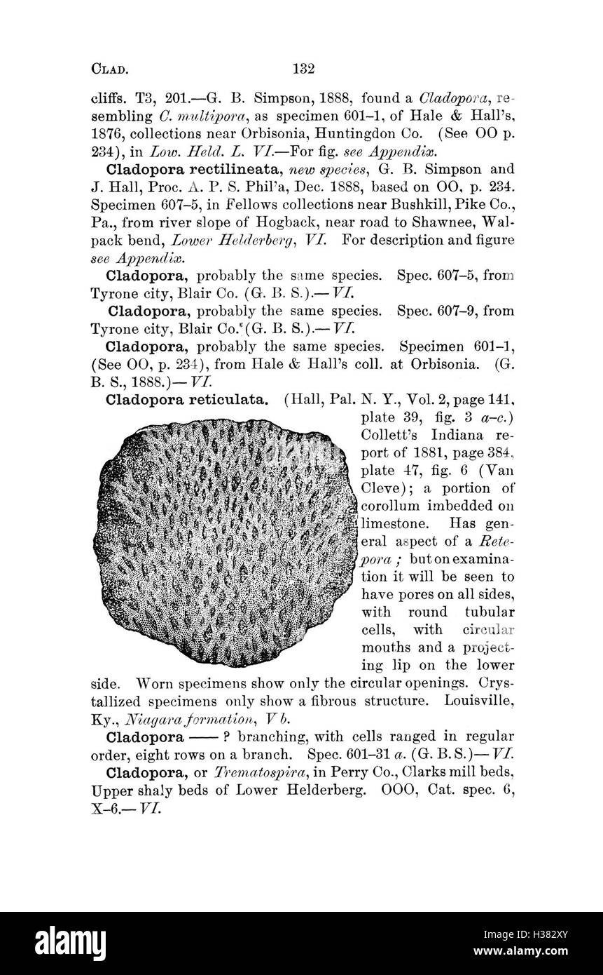 This dictionary compiles the names and descriptions of fossils from ...