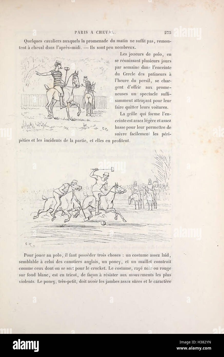 This French work offers a detailed exploration of equestrian practices ...