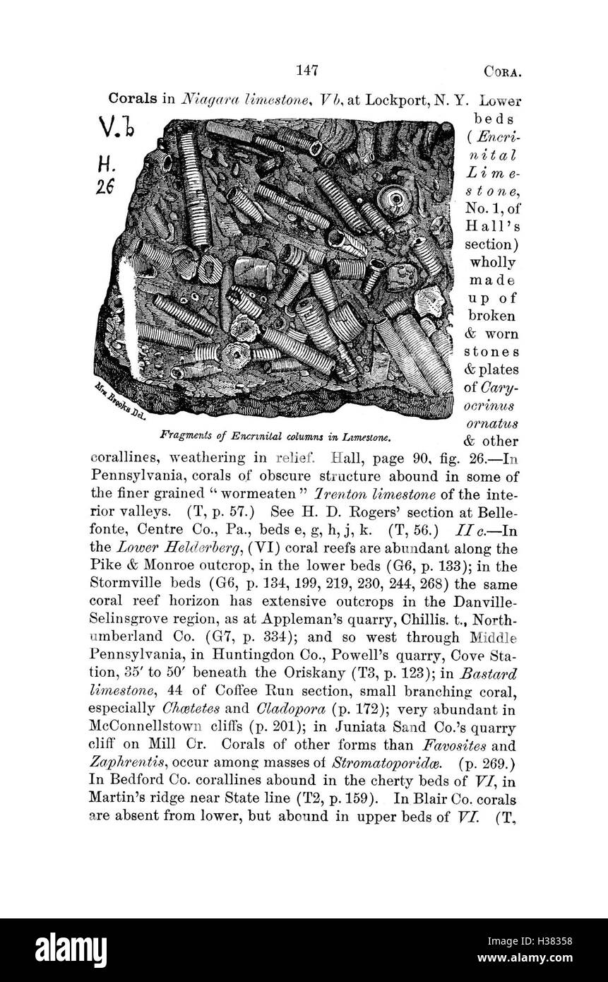 This dictionary catalogues fossils found in Pennsylvania and ...