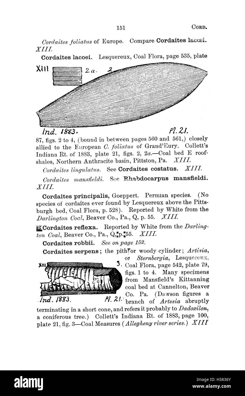 This dictionary provides a comprehensive list of fossils discovered in ...