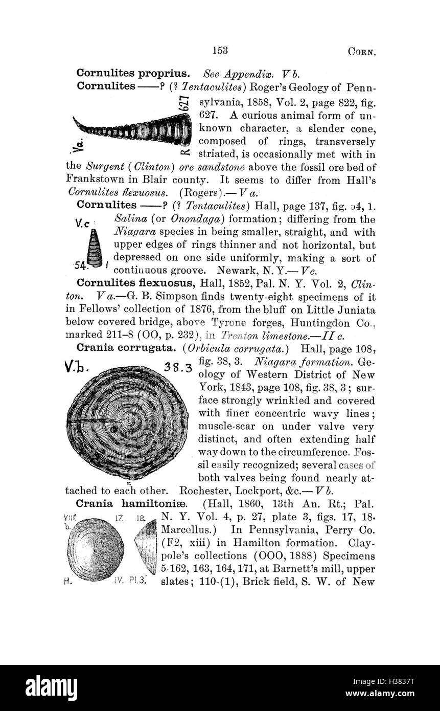 This dictionary compiles fossil species found in Pennsylvania and ...