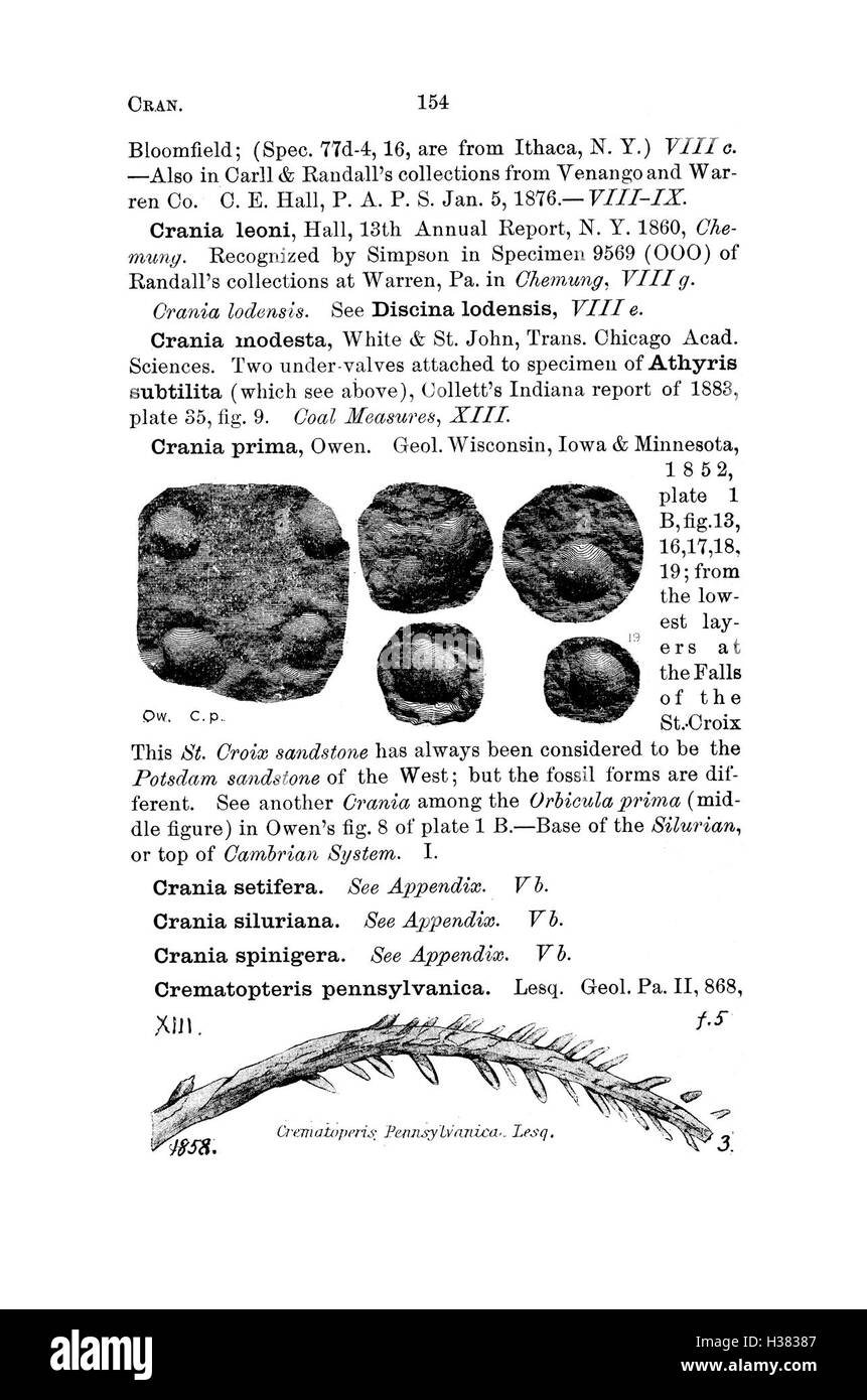 This dictionary provides a comprehensive listing of fossil specimens ...