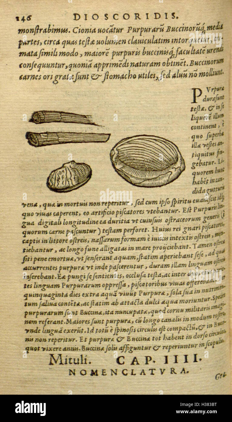 Pedanius Dioscorides’ six books on medicinal substances describe plants ...