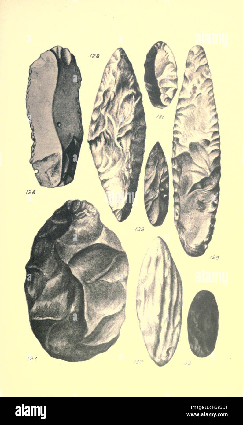 Prehistoric crafting hi-res stock photography and images - Alamy