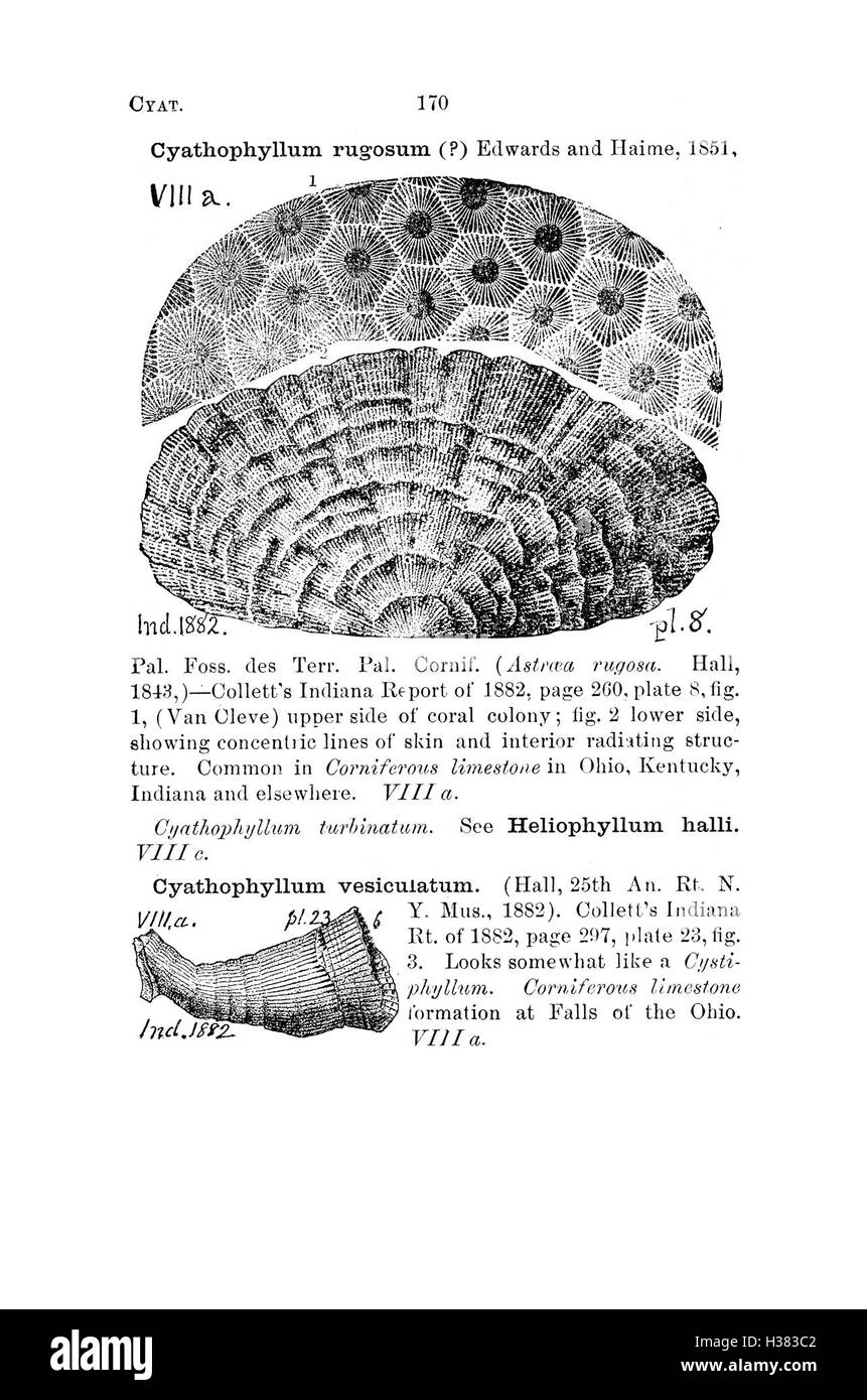 This dictionary compiles fossil species identified in Pennsylvania and ...