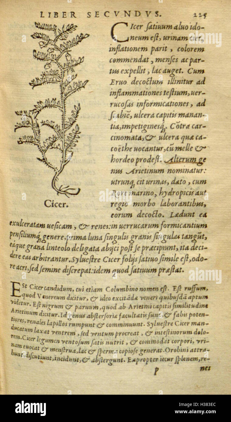 This classical work by Dioscorides outlines various plants' medicinal ...