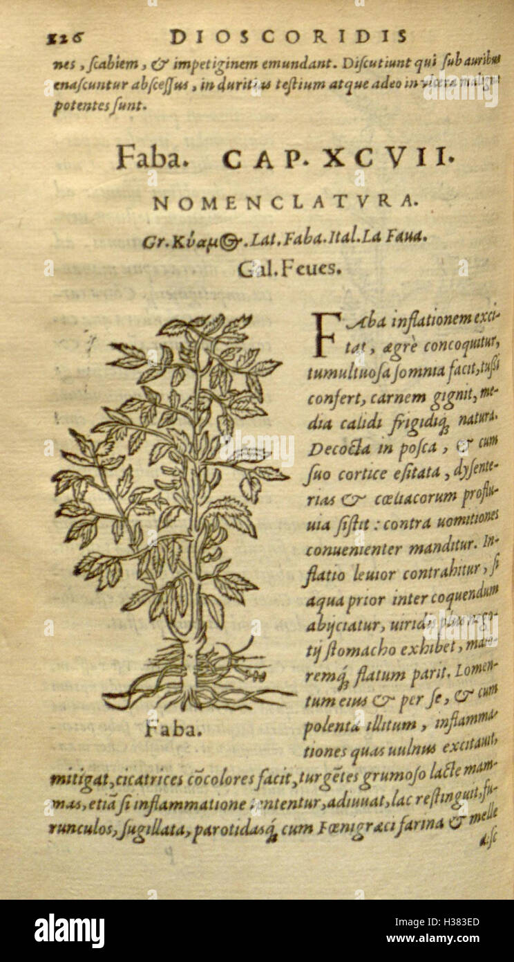 A classical work by Pedanius Dioscorides on medicinal substances ...