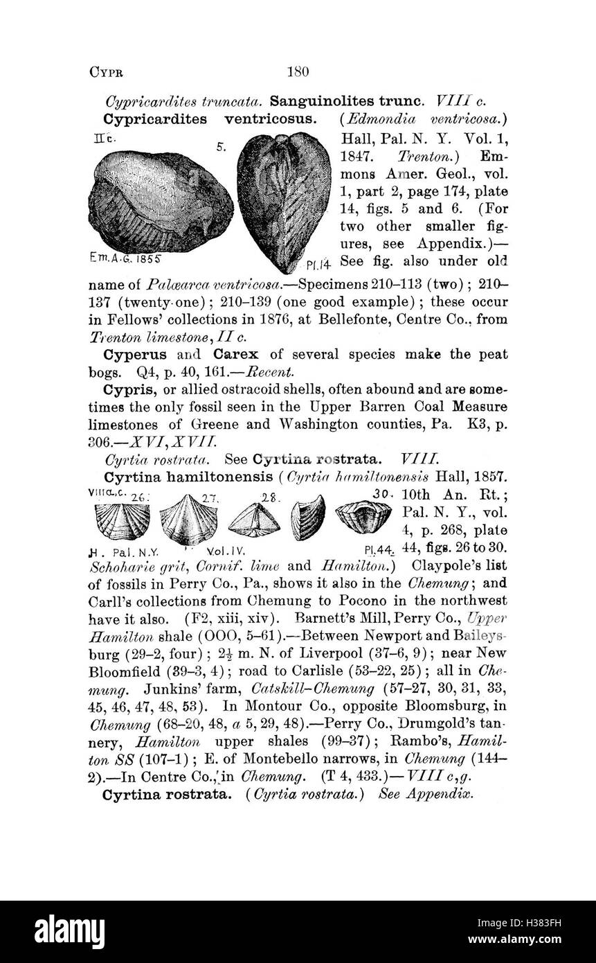 Survey definitions hi-res stock photography and images - Alamy