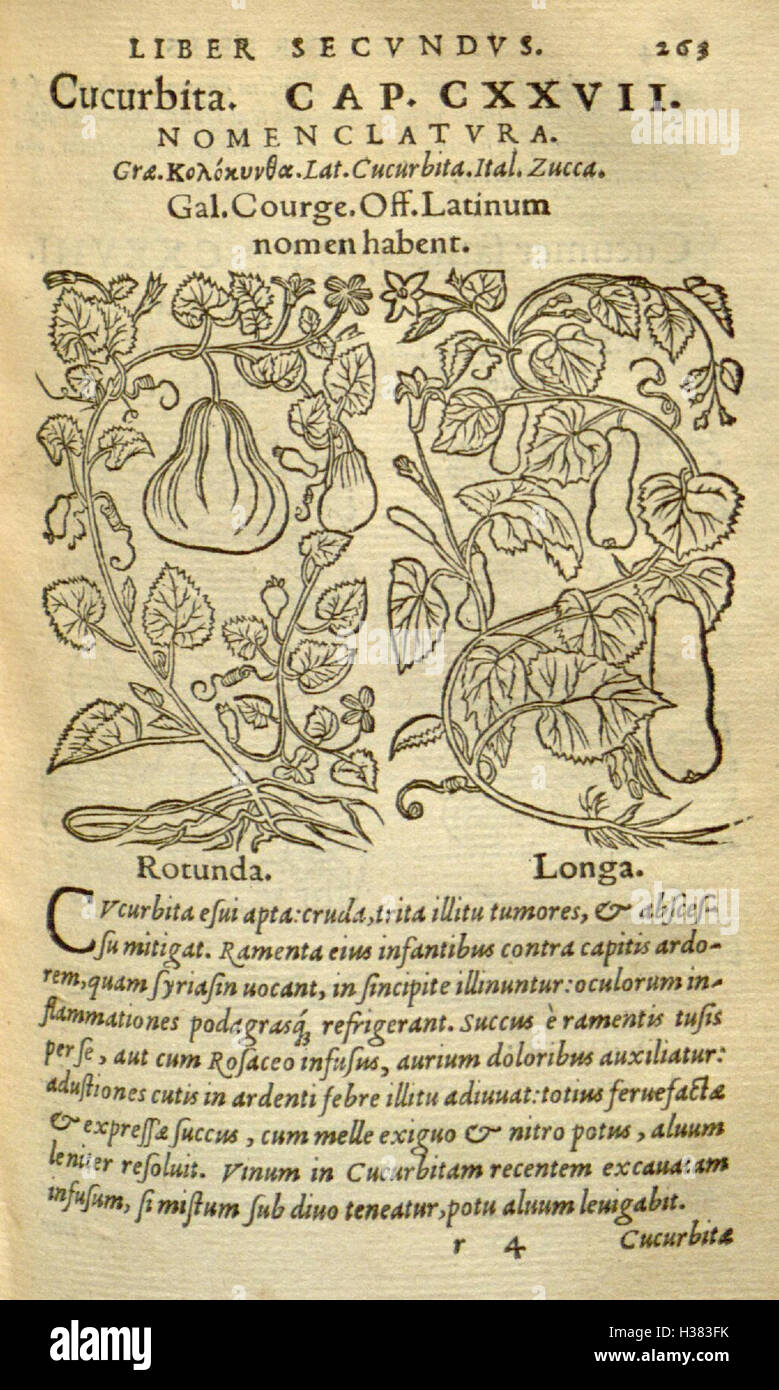 A detailed work on the medicinal materia of Dioscorides, focusing on ...