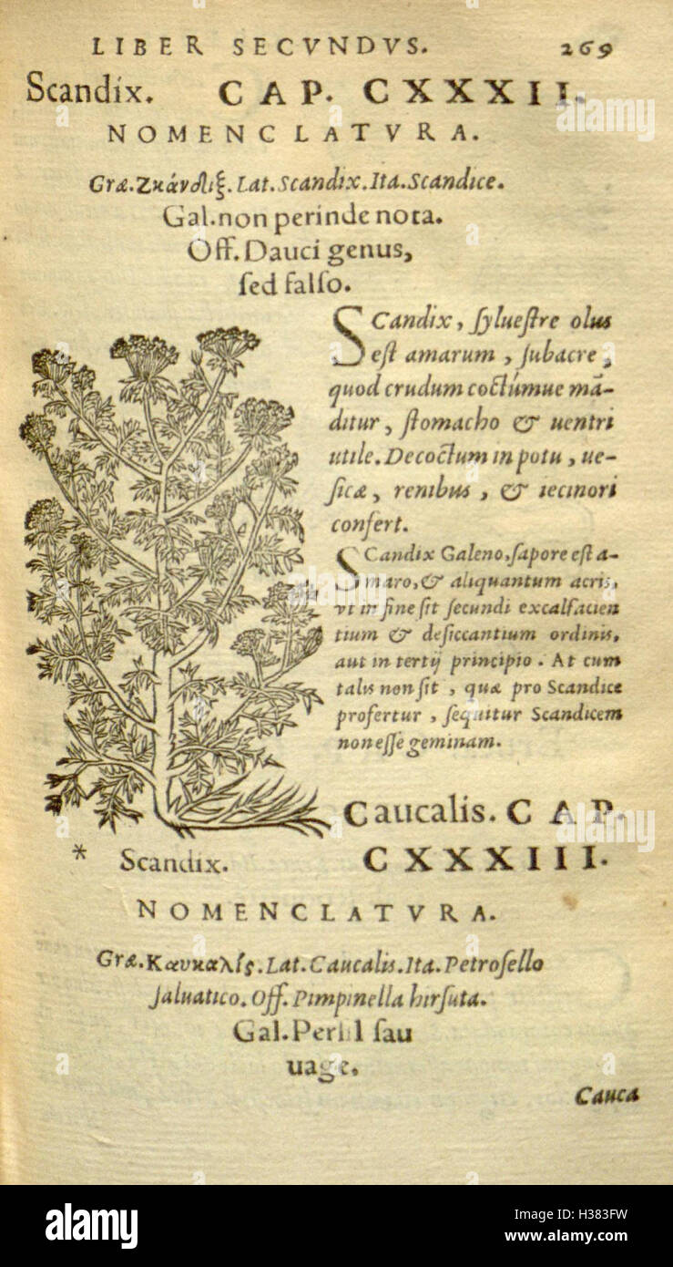 This work by Dioscorides details the medicinal properties of plants ...