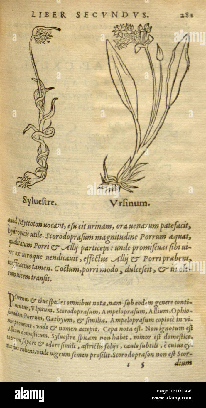 A text by Pedanius Dioscorides, presenting six books on medicinal ...
