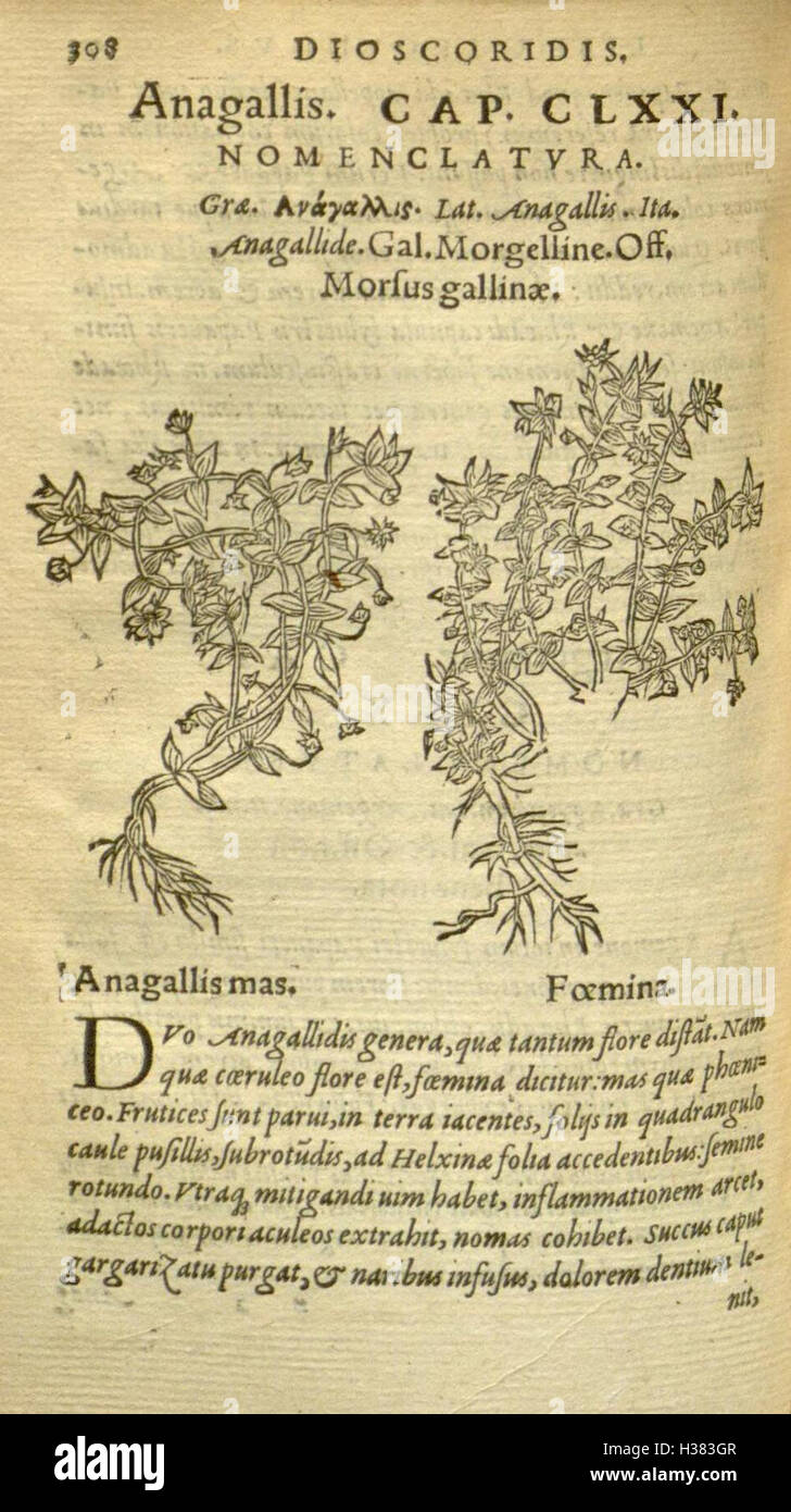 This ancient medical text by Dioscorides provides insights into ...