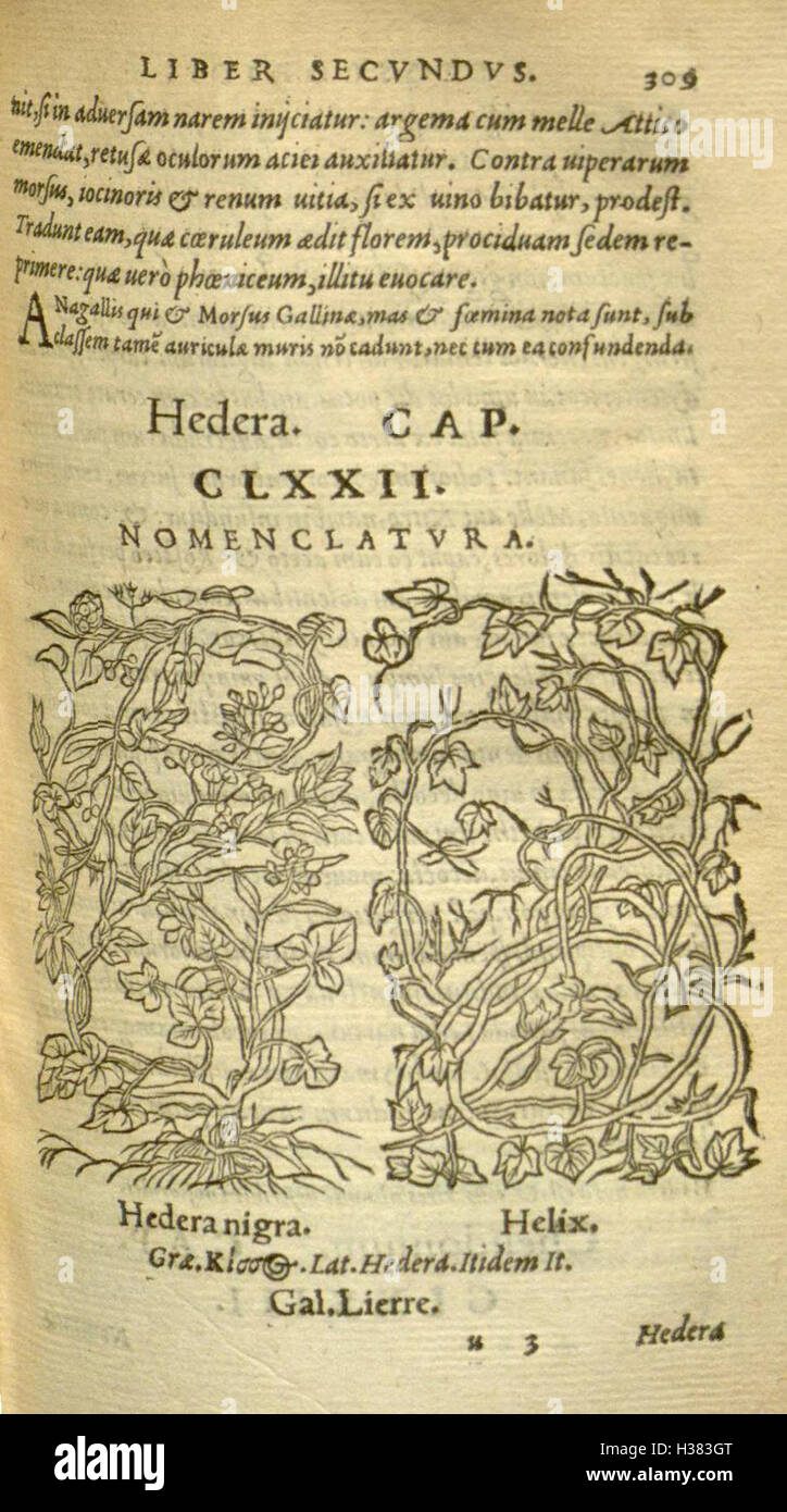 A classical work by Dioscorides on the medicinal properties of plants ...