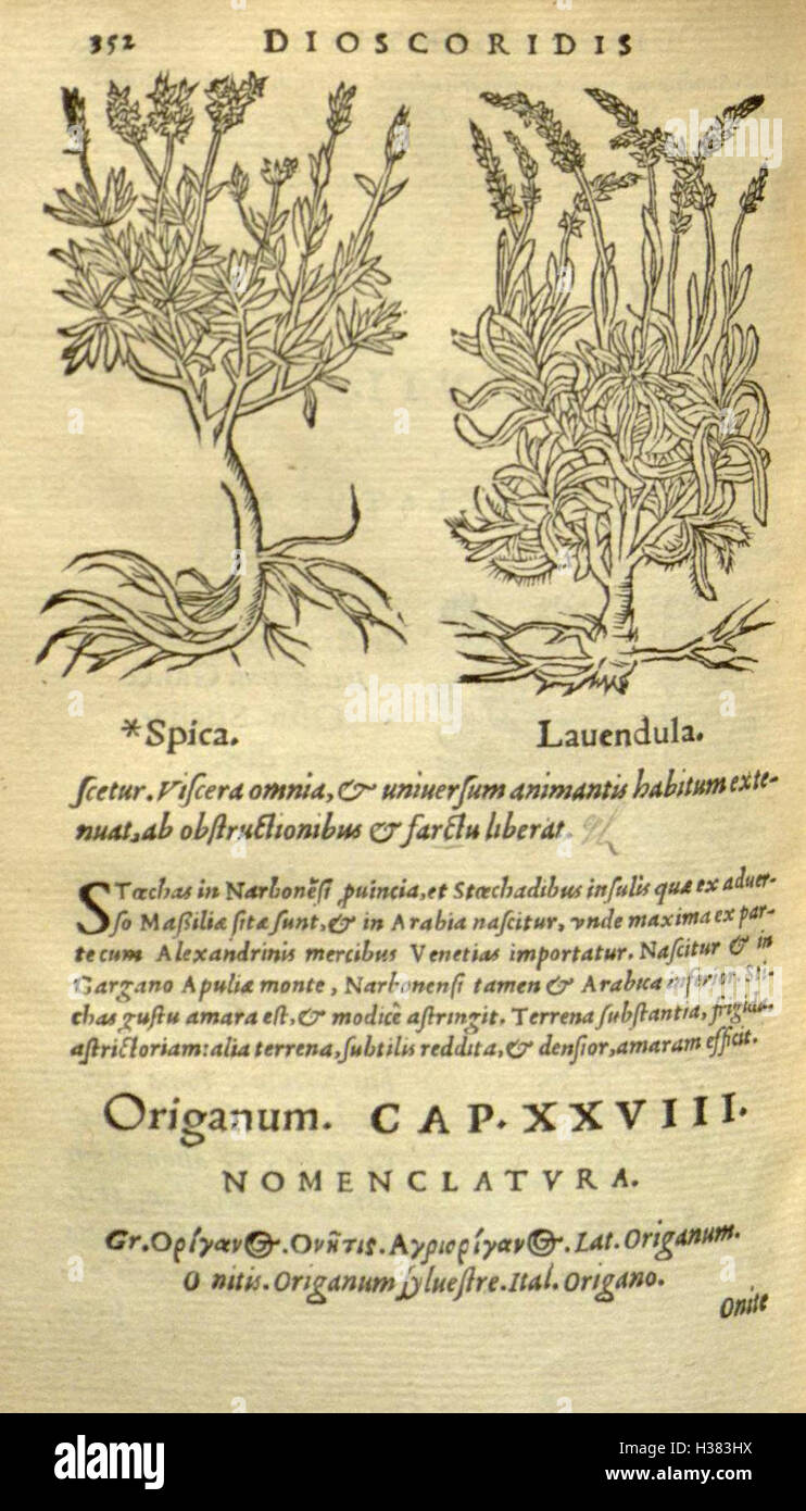 This work by Pedanius Dioscorides is a classical text on medicinal ...