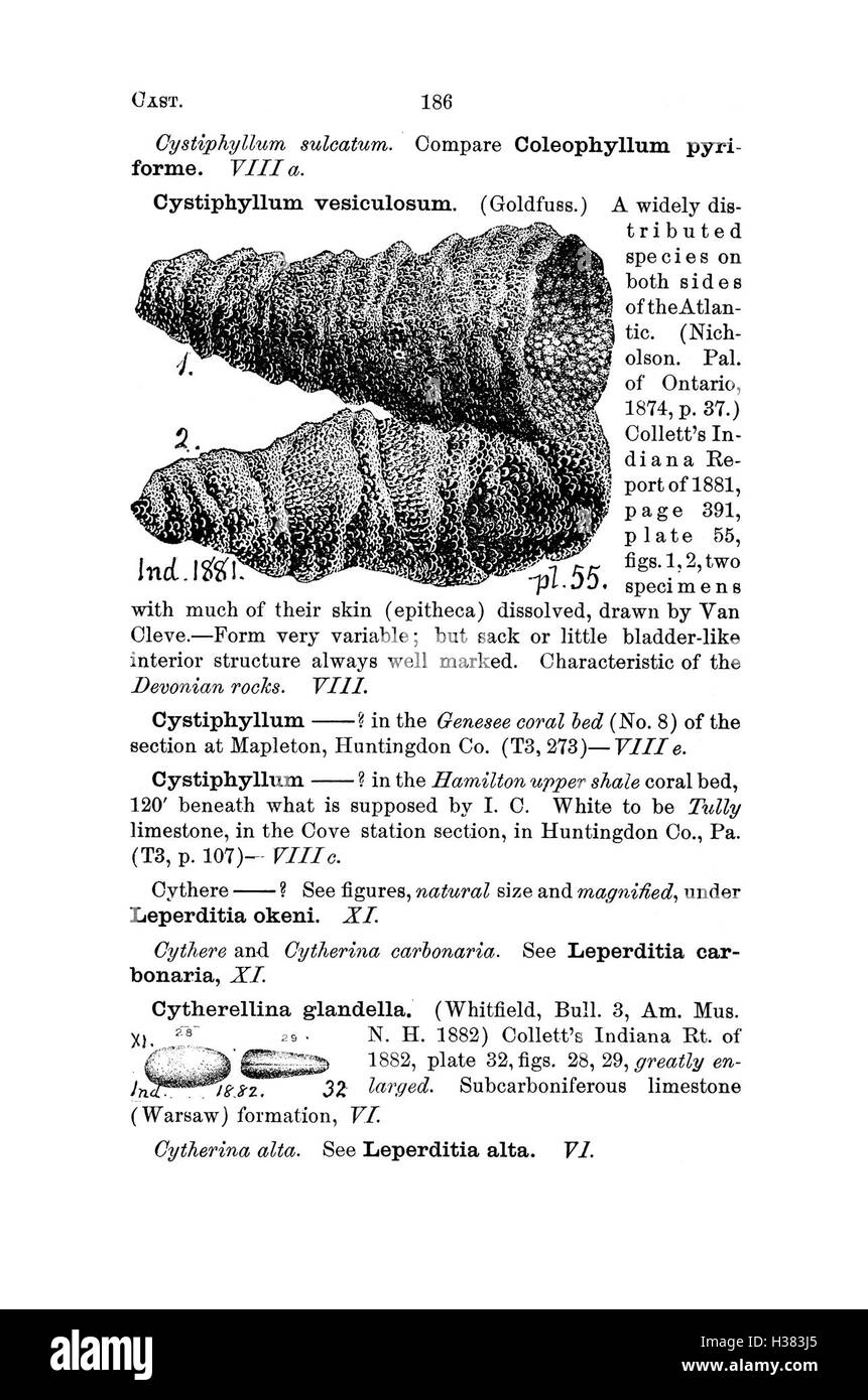 This dictionary provides an extensive list of fossils discovered in ...