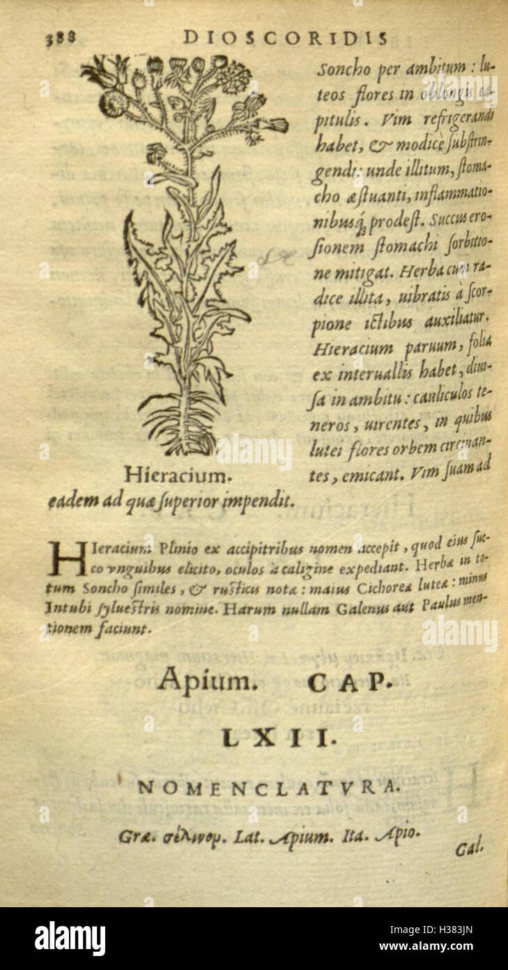 A classical text by Dioscorides on medicinal plants, providing in-depth ...