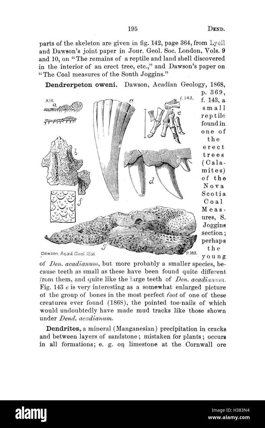 This dictionary compiles fossil records from Pennsylvania and ...