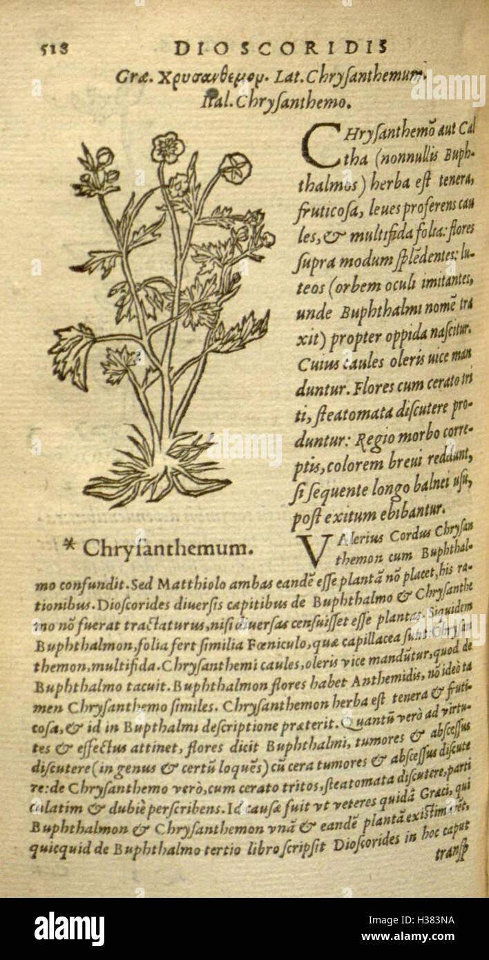 This page from Dioscorides' 'De Medicinali Materia' presents ...